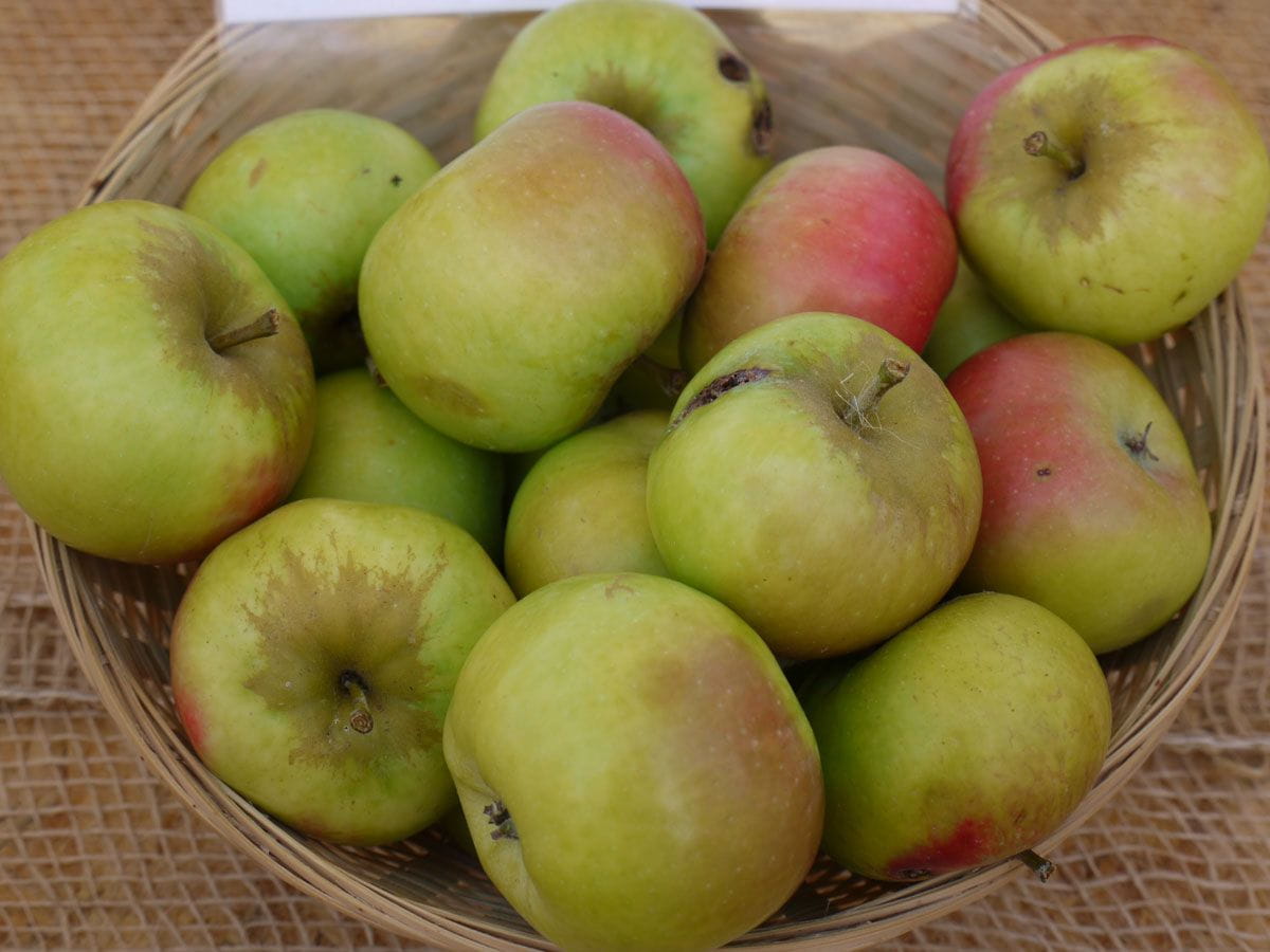 Alte Obstsorten